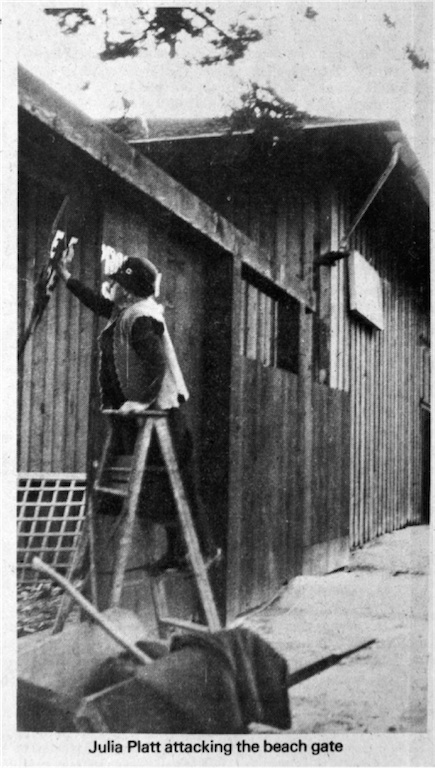 Features & News – Carolyn Sotka